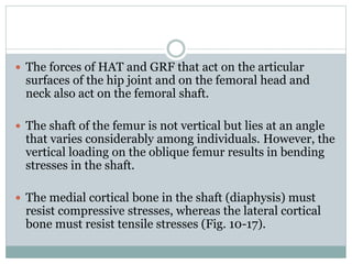 Biomechanics of hip complex 1 | PPTX