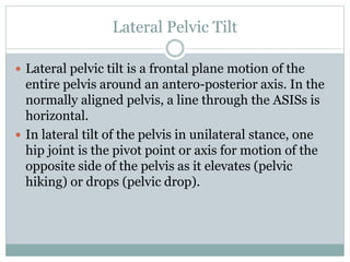 Biomechanics of hip complex 2 | PPTX