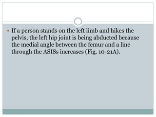 Biomechanics of hip complex 2 | PPTX