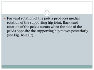 Biomechanics of hip complex 2 | PPTX