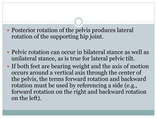 Biomechanics of hip complex 2 | PPTX