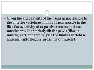 Biomechanics of hip complex 2 | PPTX