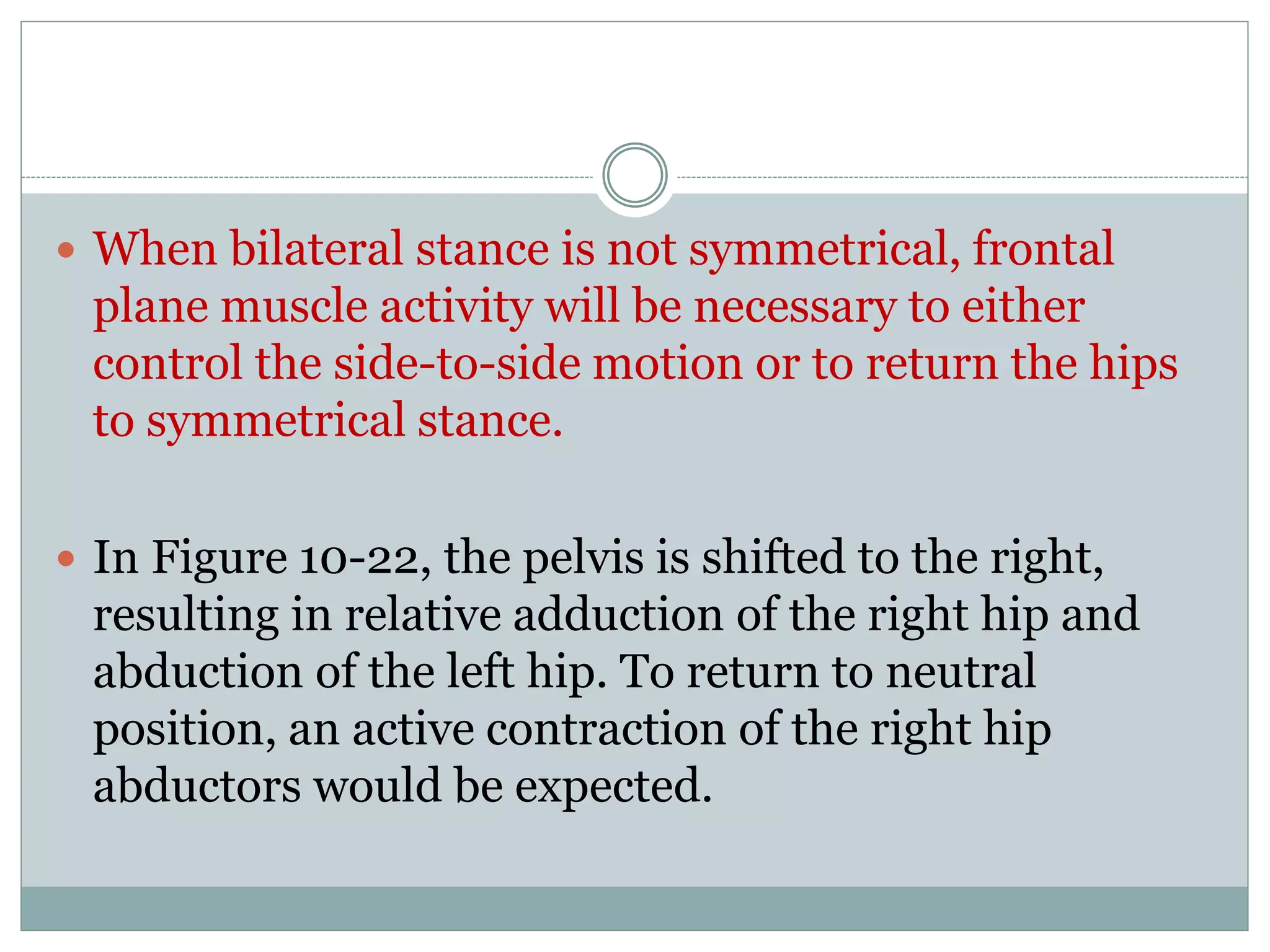 Biomechanics of hip complex 3 | PPTX