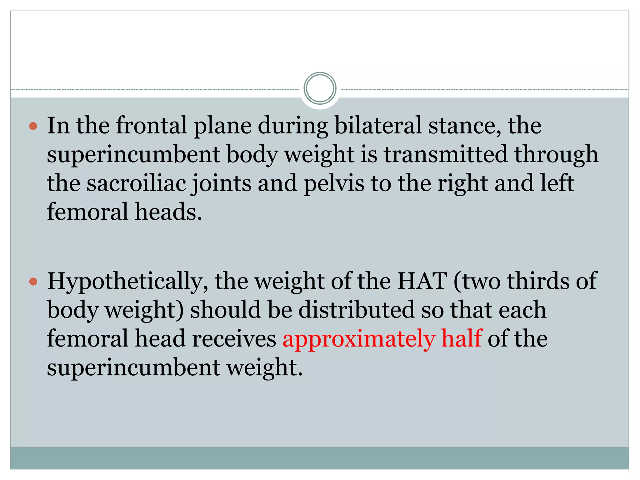Biomechanics of hip complex 3 | PPTX