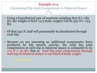 Biomechanics of hip complex 3 | PPTX