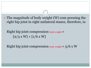 Biomechanics of hip complex 3 | PPTX