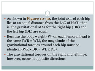Biomechanics of hip complex 3 | PPTX