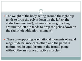 Biomechanics of hip complex 3 | PPTX