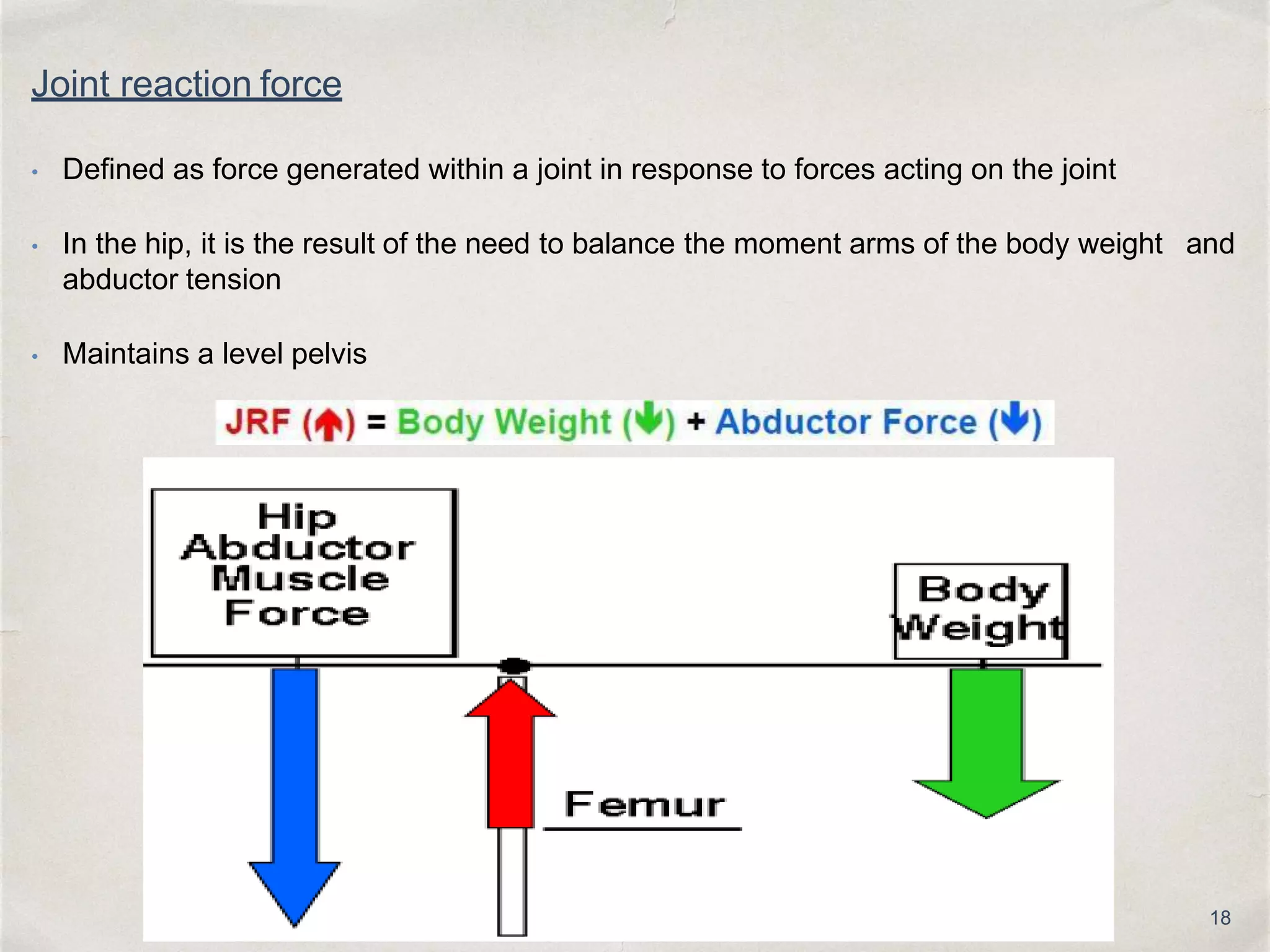 Biomechanics of hip and thr | PPTX