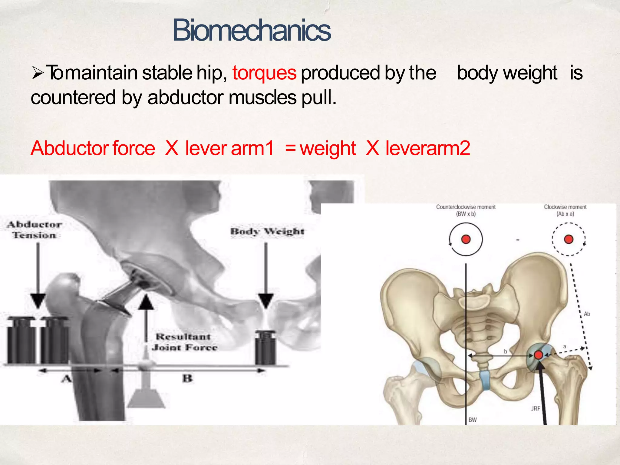 Biomechanics of hip and thr | PPTX