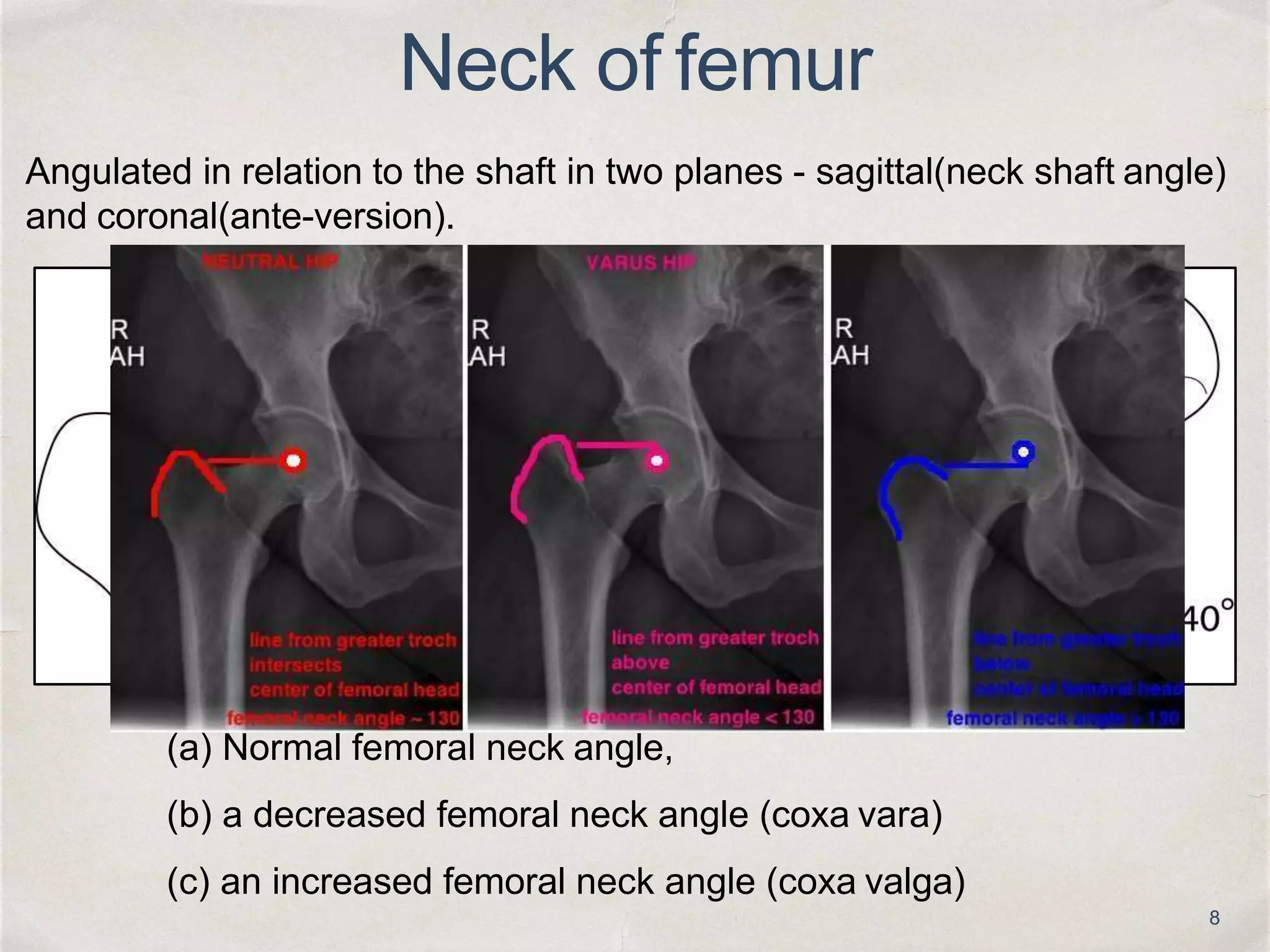 Biomechanics of hip and thr | PPTX