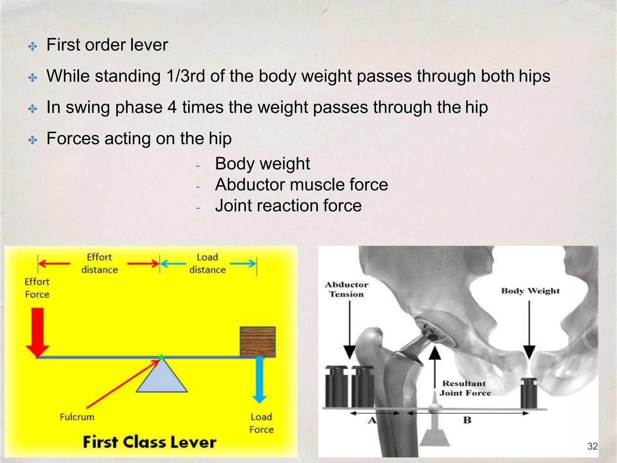 BIOMECHANICS OF HIP JOINT | PPTX