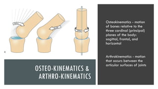 biomechanics of hip ......FINAL (1).pptx