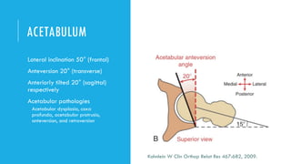 biomechanics of hip ......FINAL (1).pptx