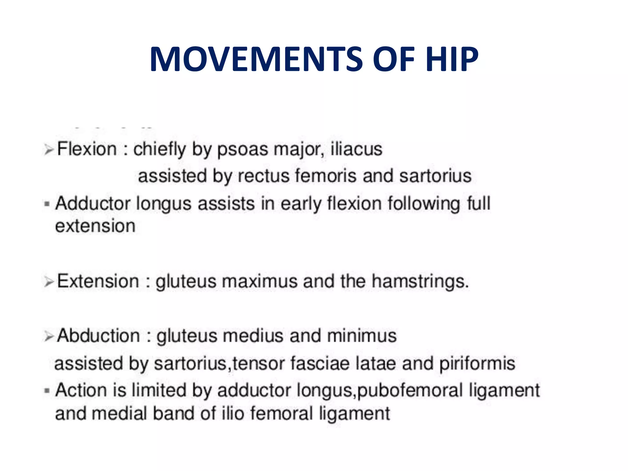 BIOMECHANICS OF HIP JOINT | PPTX