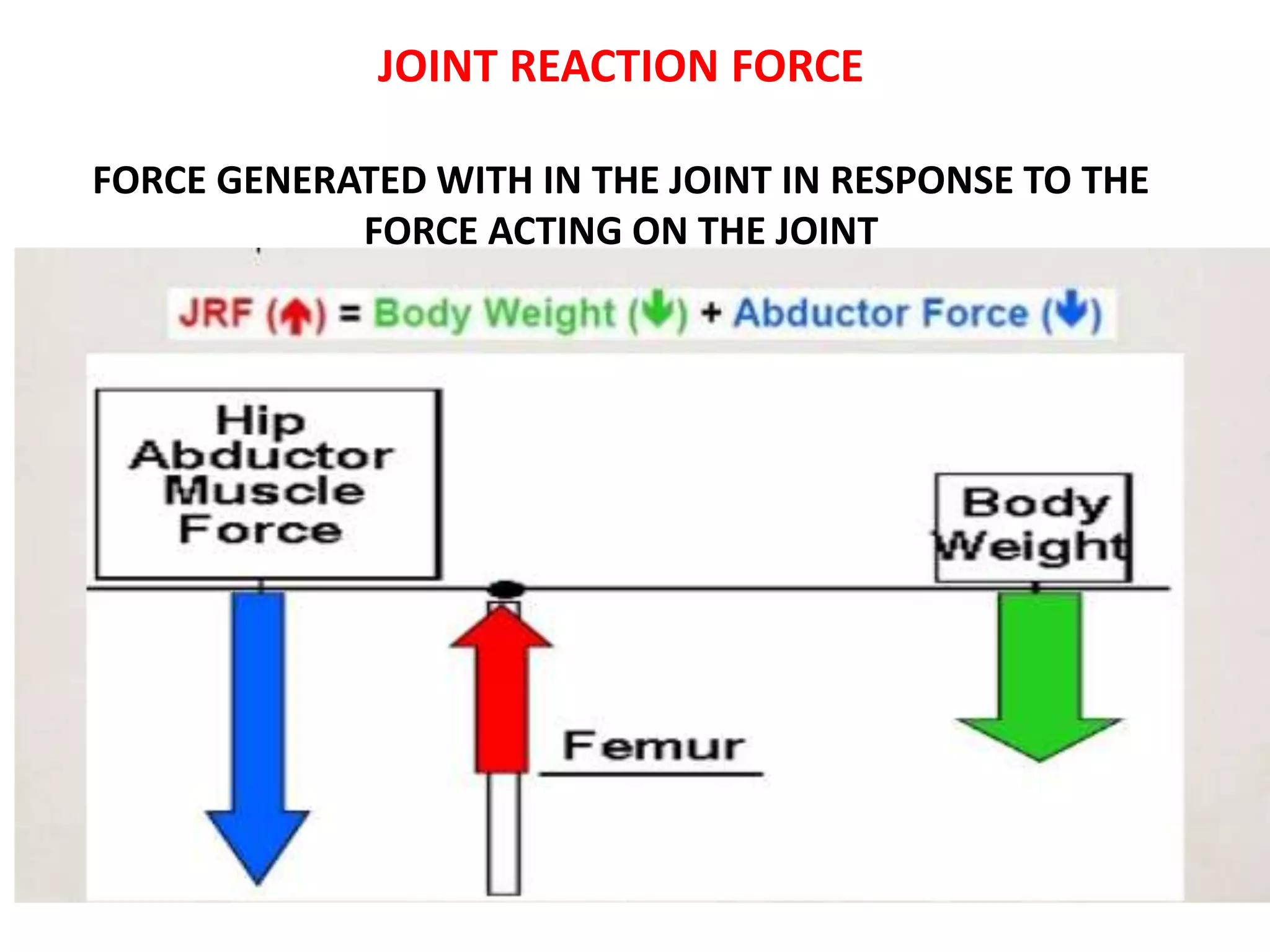 BIOMECHANICS OF HIP JOINT | PPTX