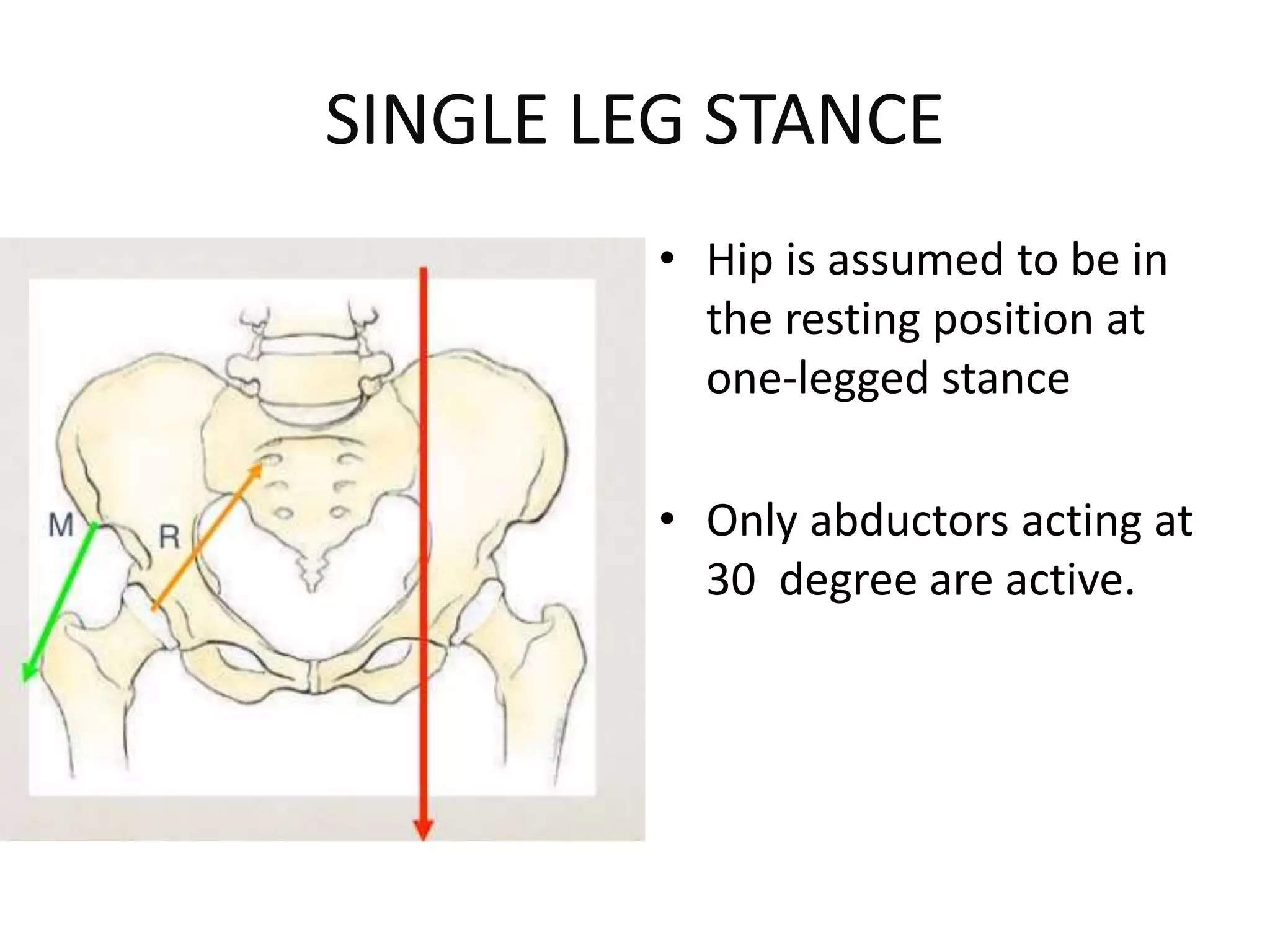 BIOMECHANICS OF HIP JOINT | PPTX