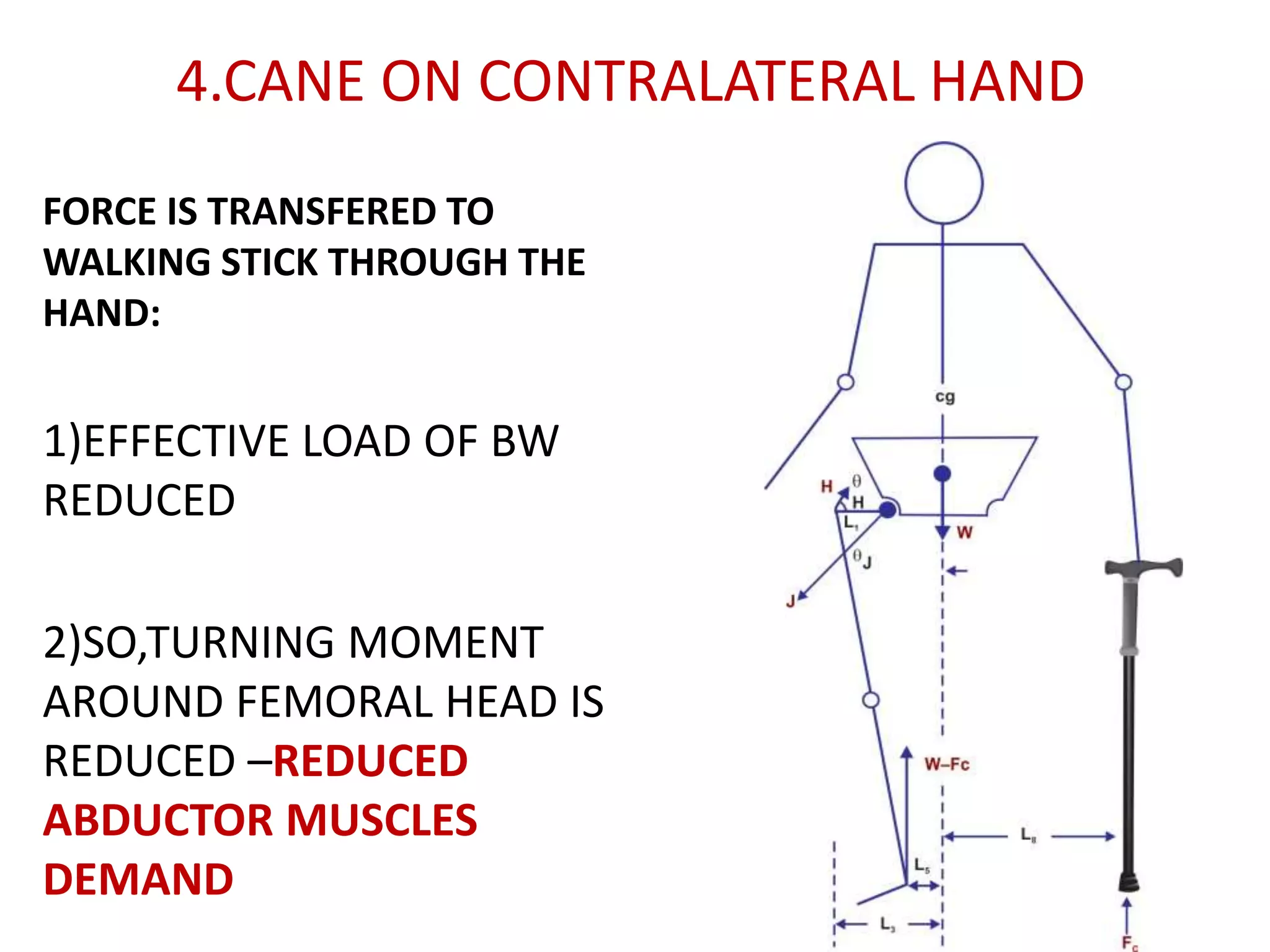 BIOMECHANICS OF HIP JOINT | PPTX