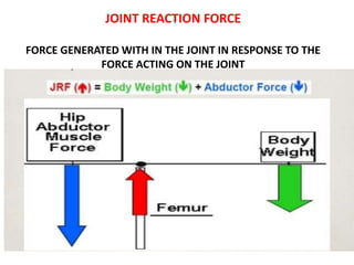 BIOMECHANICS OF HIP JOINT | PPTX