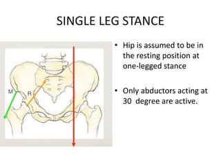 BIOMECHANICS OF HIP JOINT | PPTX
