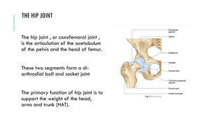 biomechanics of hip ppt for post graduates | PPTX