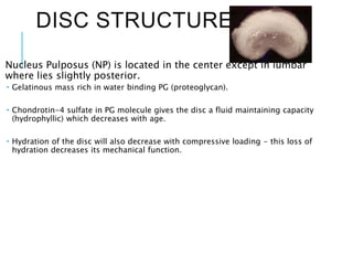 biomechanicsofhumanspine-190930194450.pdf