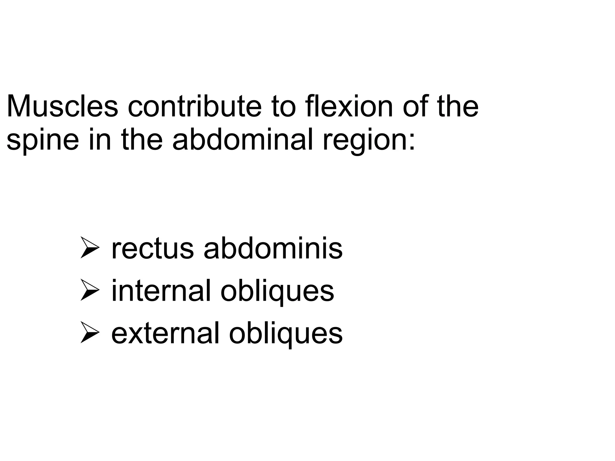 Biomechanics of human spine. | PPTX