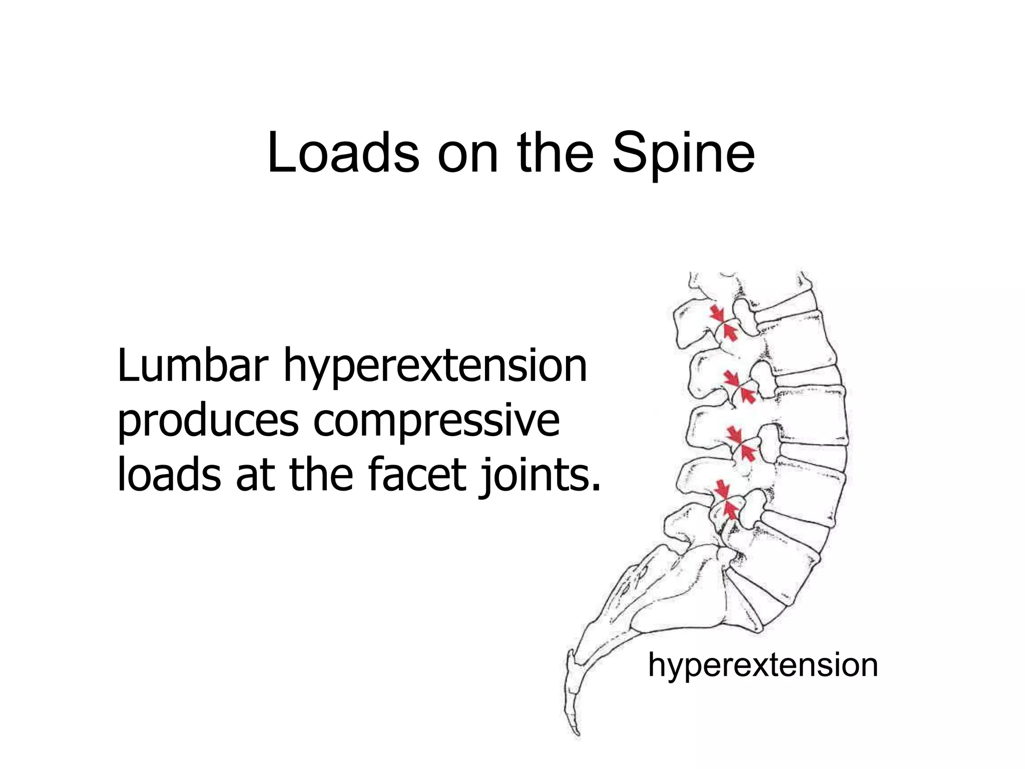 Biomechanics of human spine. | PPTX