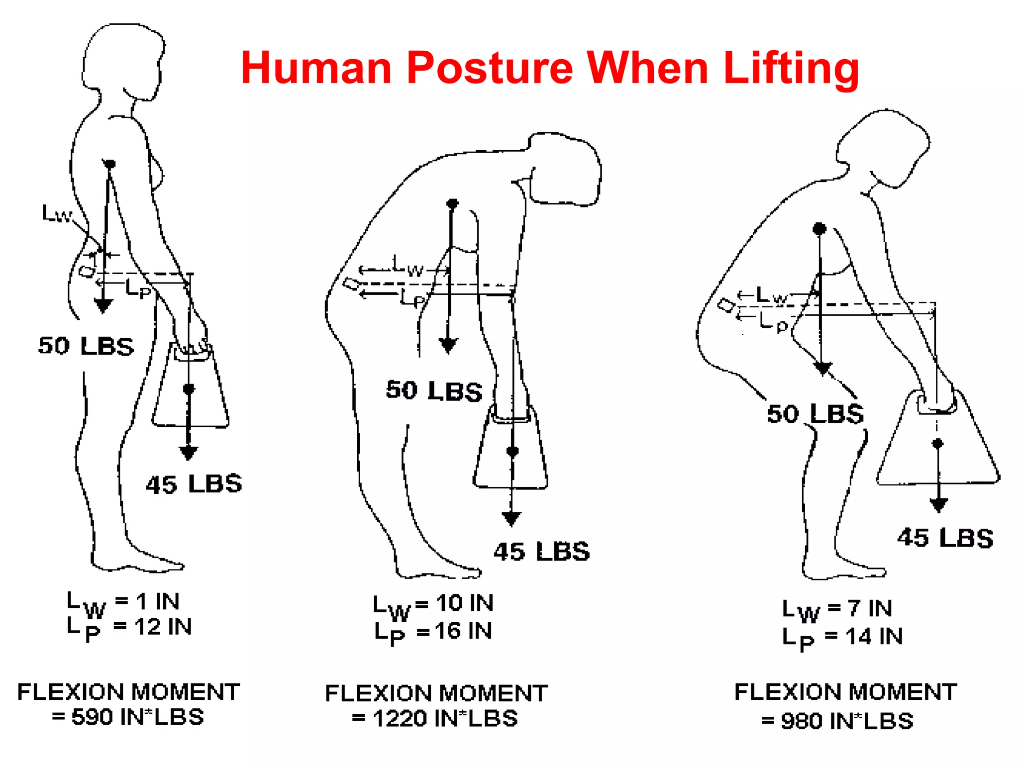 Biomechanics of human spine. | PPTX