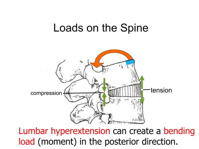 Biomechanics of human spine. | PPTX | Death, Injury, or Military Conflict | Sensitive Topics