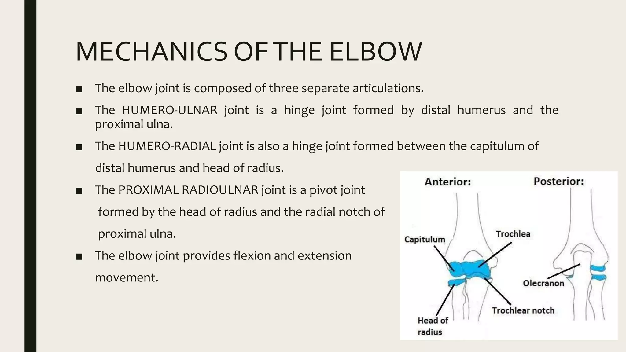 Biomechanics of joints | PPTX