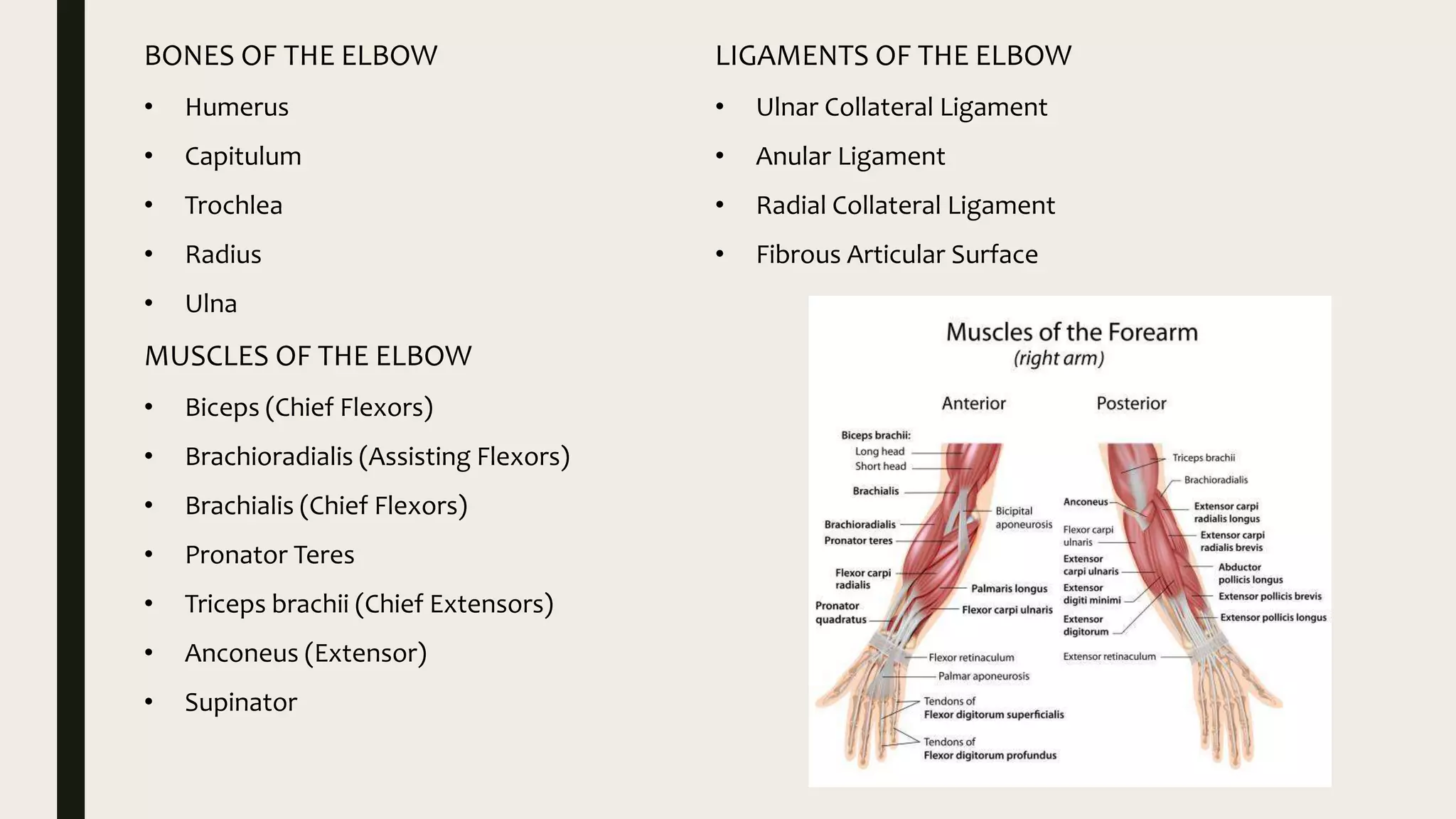 Biomechanics of joints | PPTX