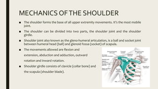 Biomechanics of joints | PPTX