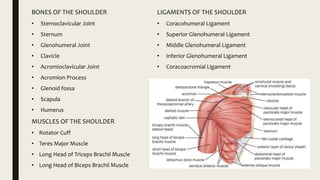 Biomechanics of joints | PPTX