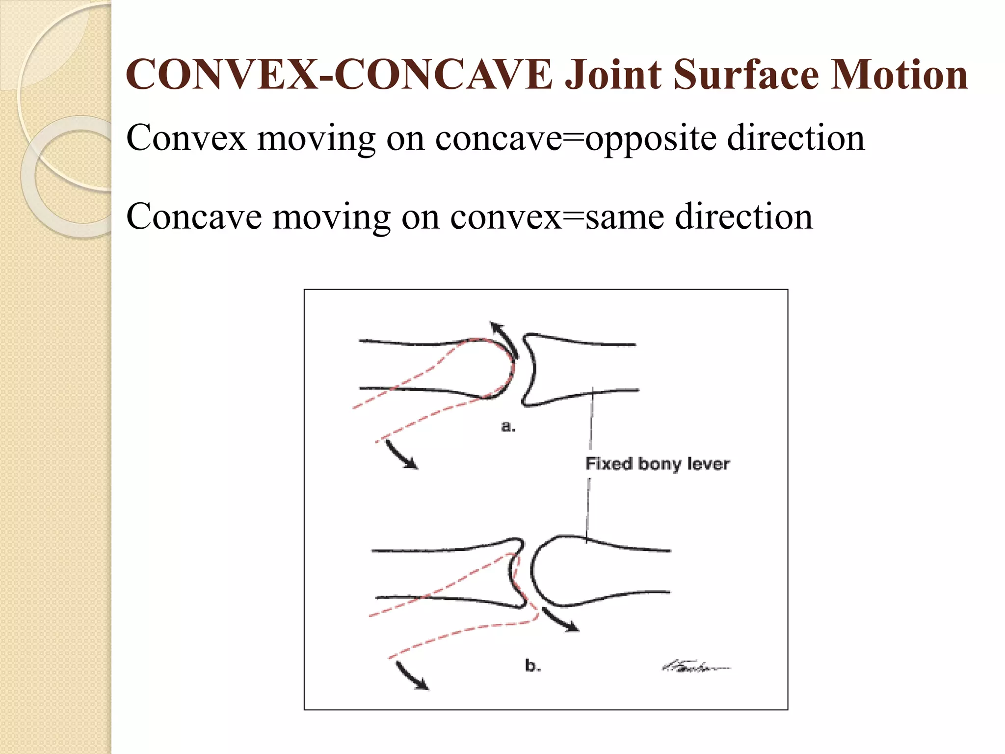 biomechanics of joints.pptx