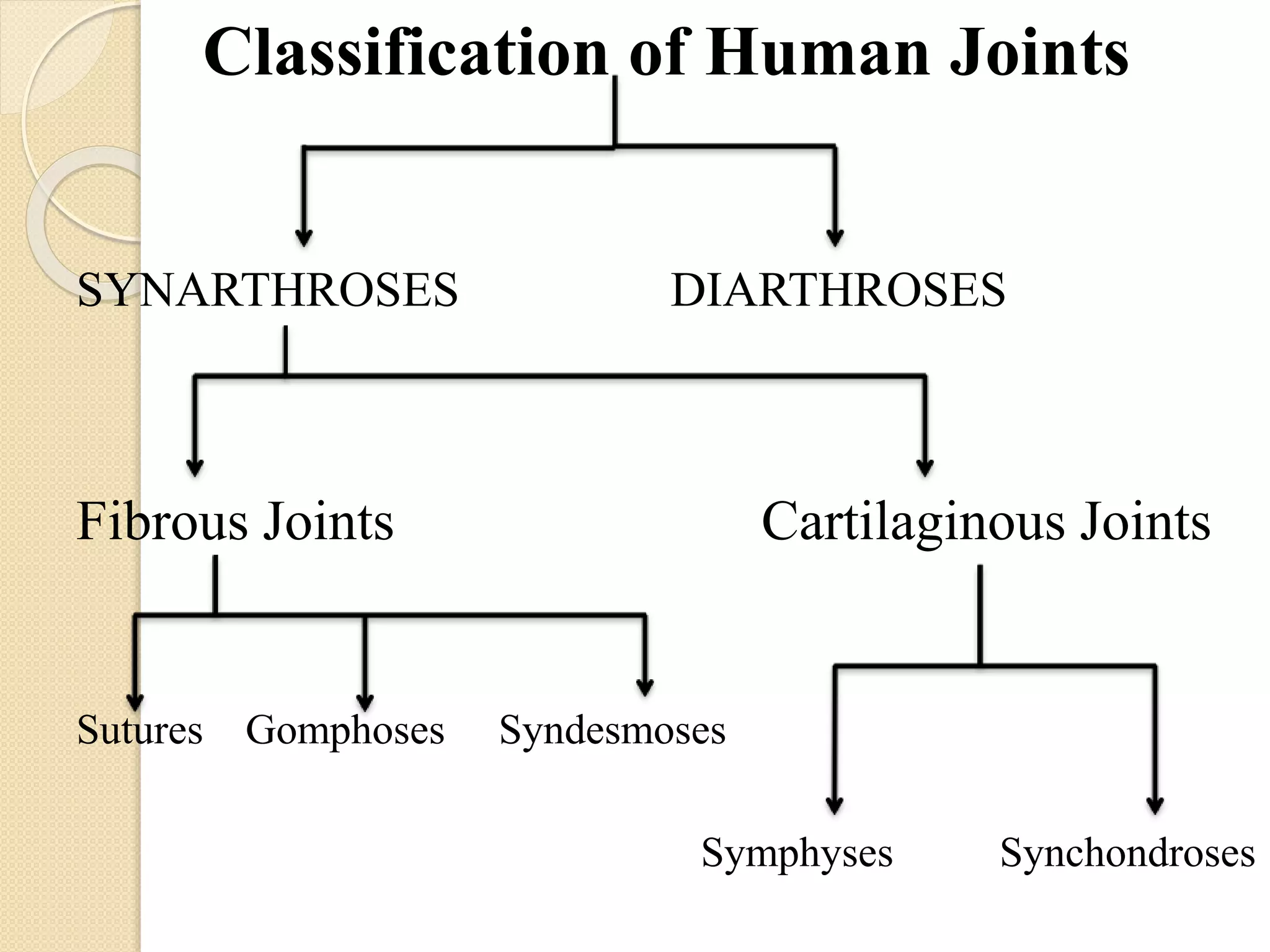 biomechanics of joints.pptx