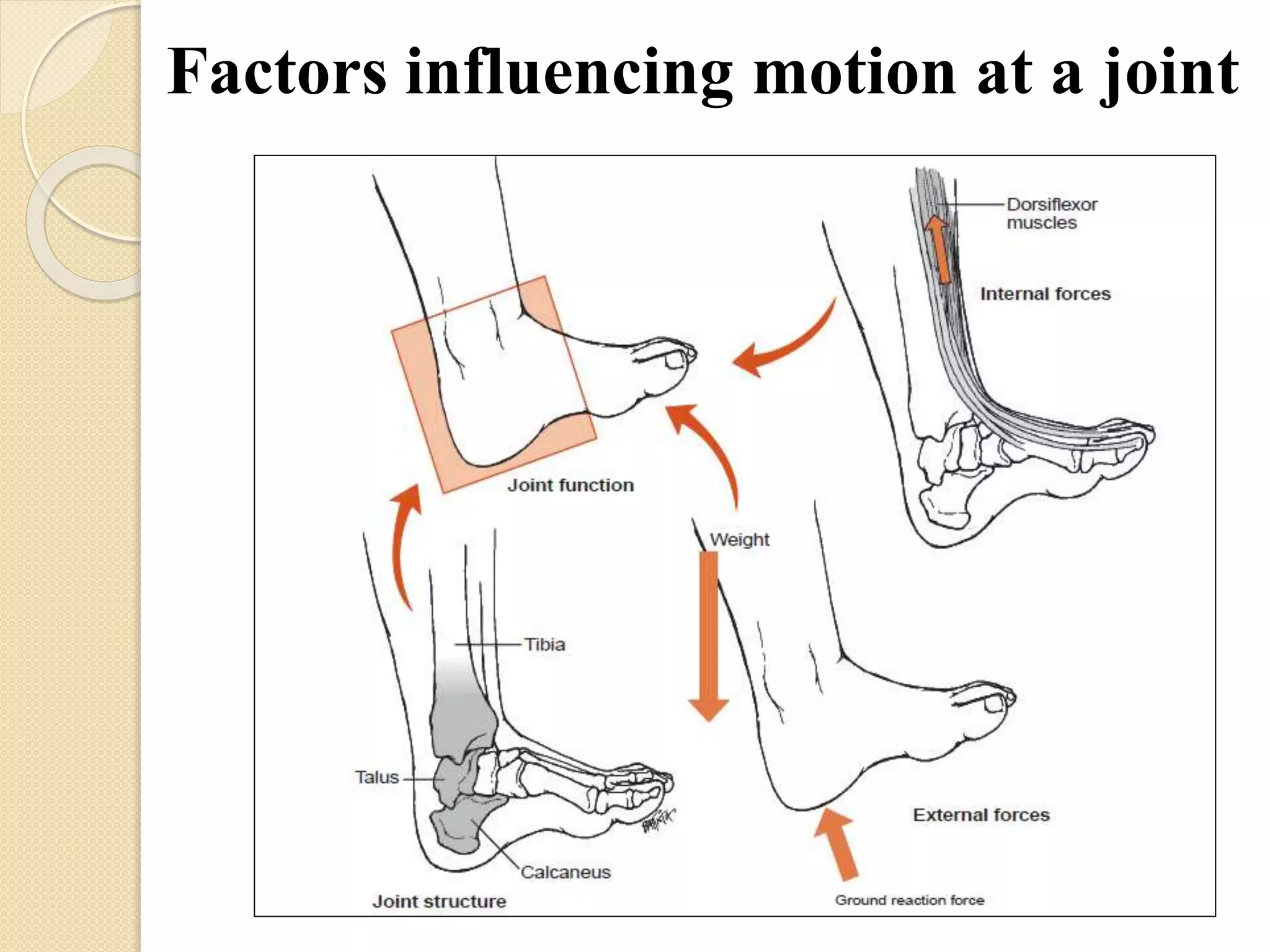 biomechanics of joints.pptx
