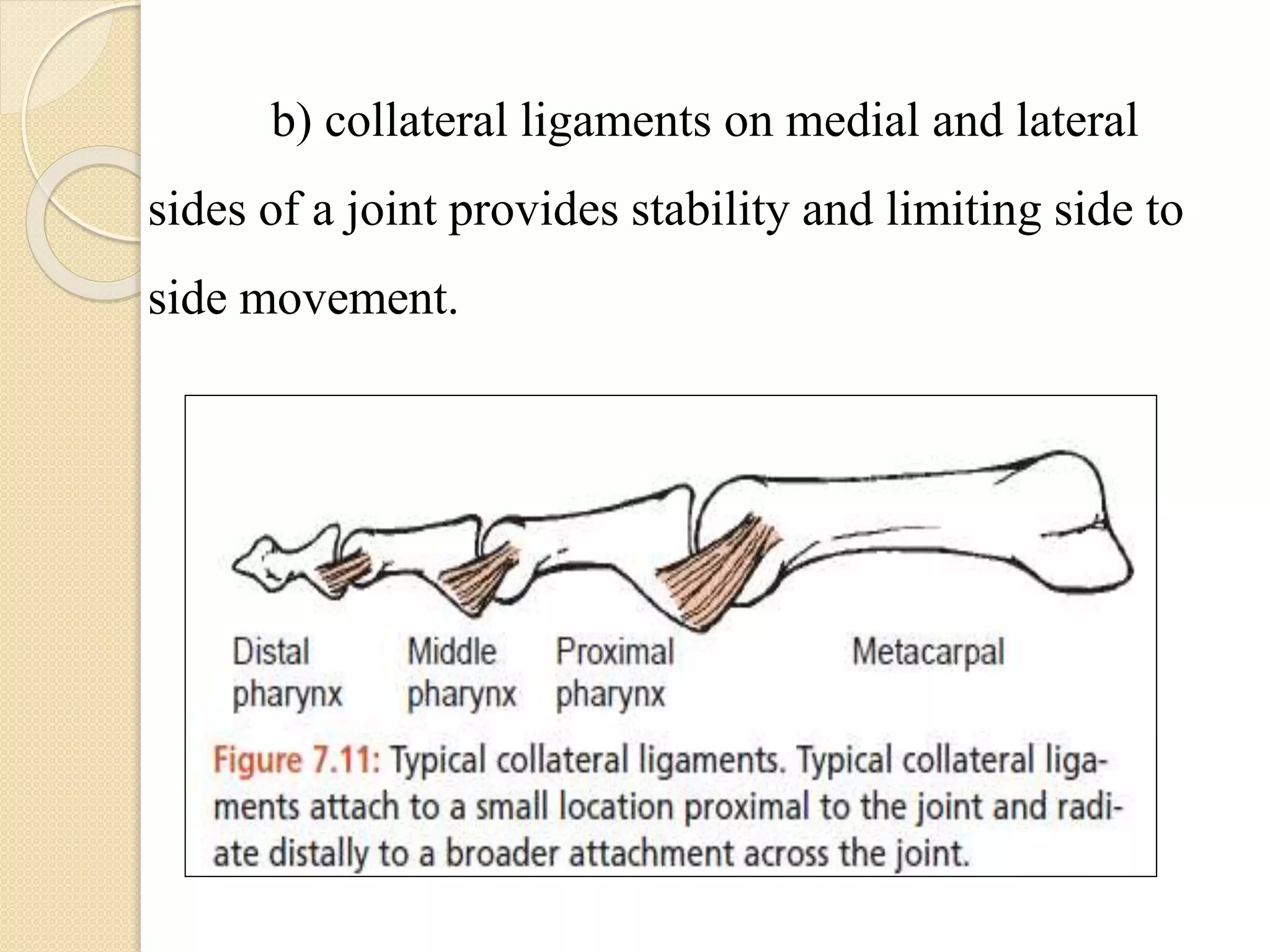 biomechanics of joints.pptx