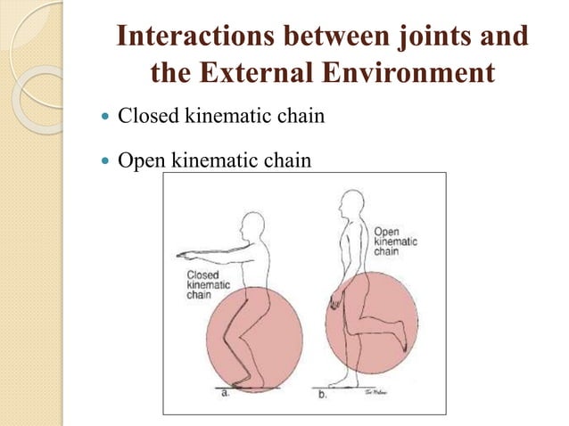 biomechanics of joints.pptx