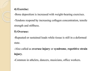 biomechanics of joints.pptx