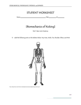 A STEM Module for Bioengineering Topics Muscle and Movement: Part I ...