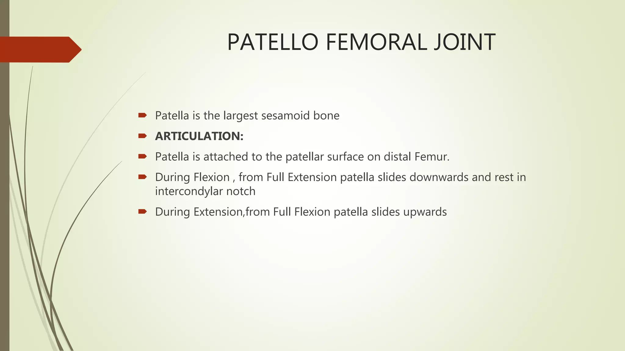 Biomechanics of knee | PPTX
