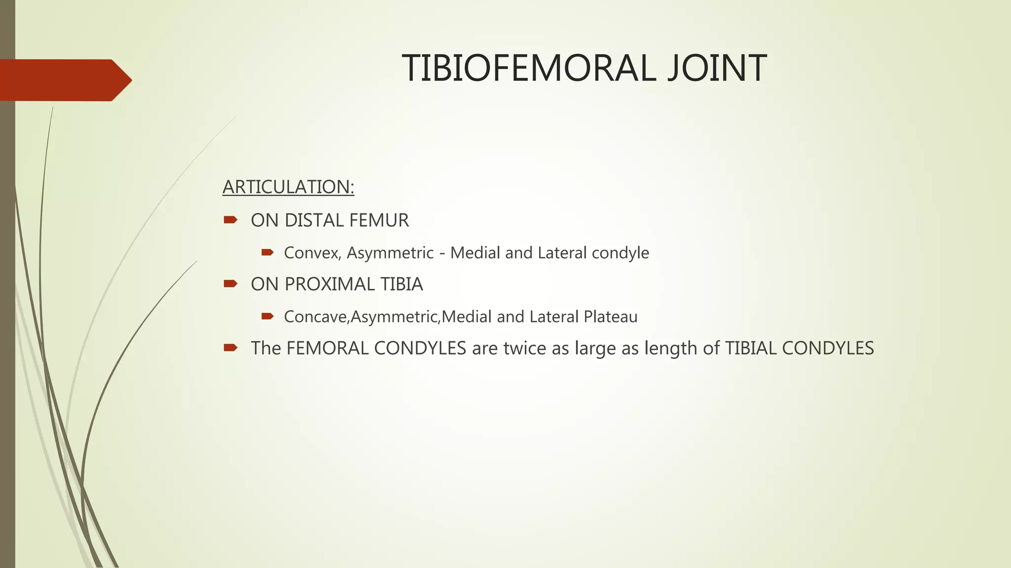 Biomechanics of knee | PPTX