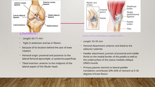 BIOMECHANICS OF THE KNEE JOINT,ORTHOPAEDICS | PPTX
