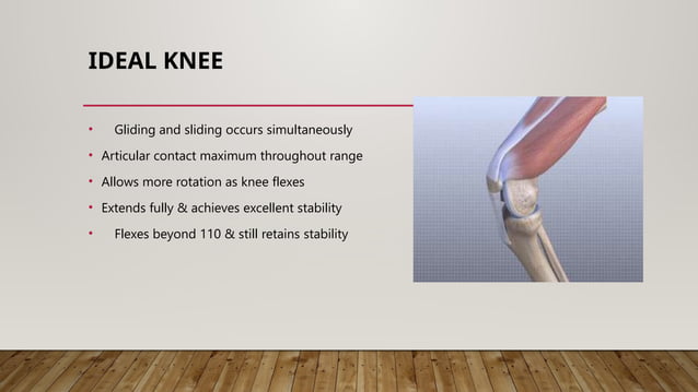 BIOMECHANICS OF THE KNEE JOINT,ORTHOPAEDICS | PPTX