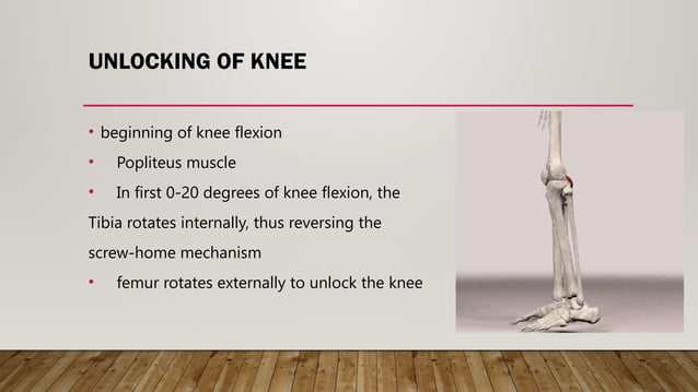 BIOMECHANICS OF THE KNEE JOINT,ORTHOPAEDICS | PPTX