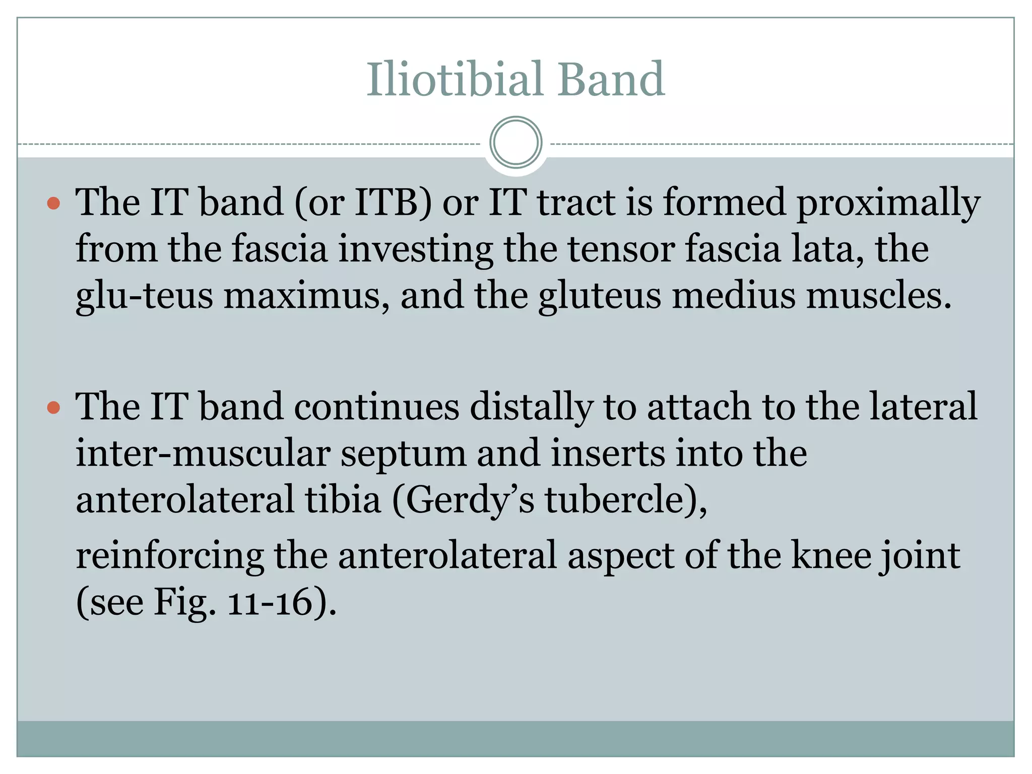 Biomechanics of Knee Complex .pdf