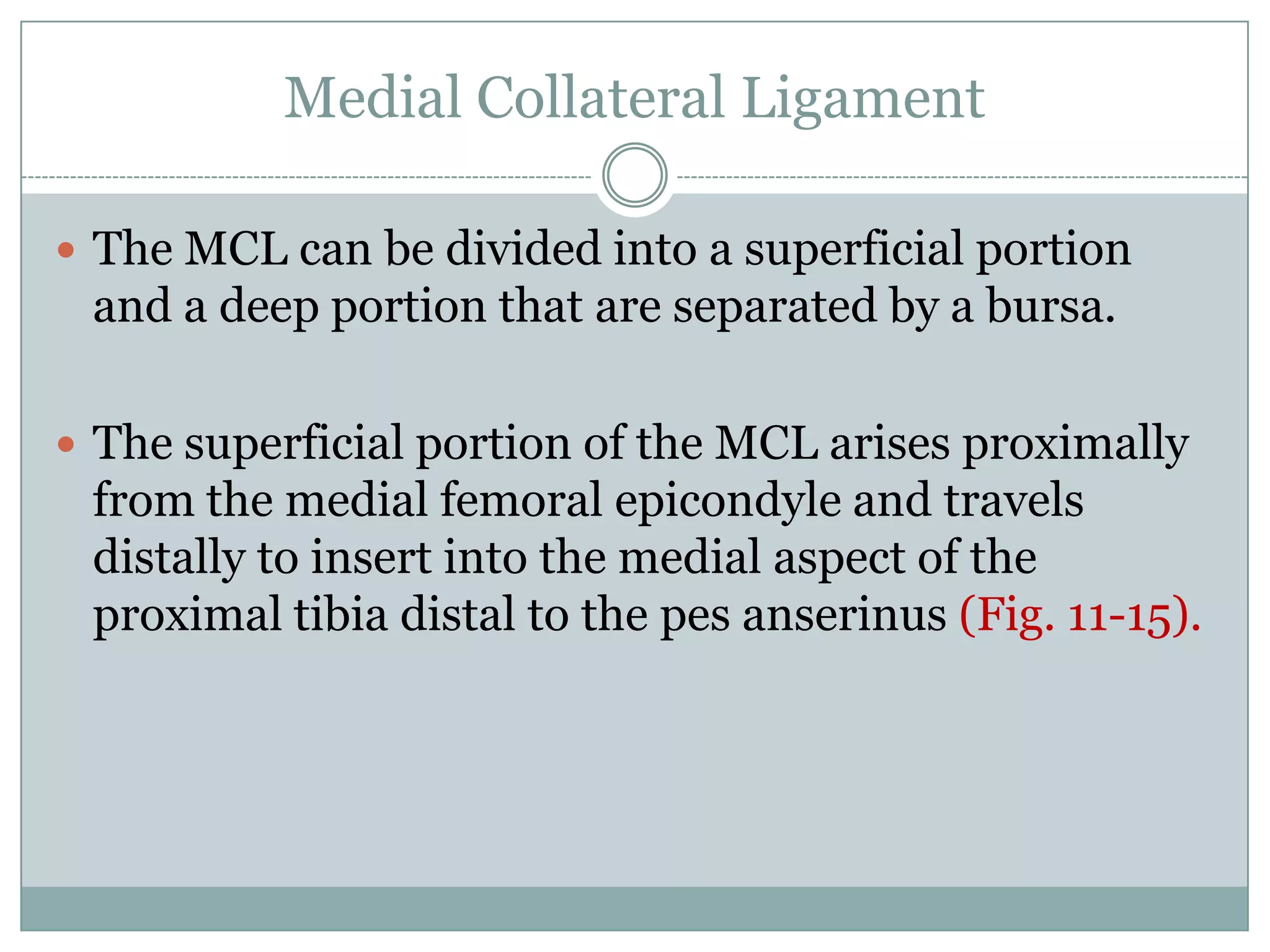 Biomechanics of Knee Complex .pdf