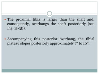 Biomechanics of knee complex 1 | PPTX