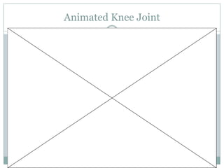 Biomechanics of knee complex 1 | PPTX